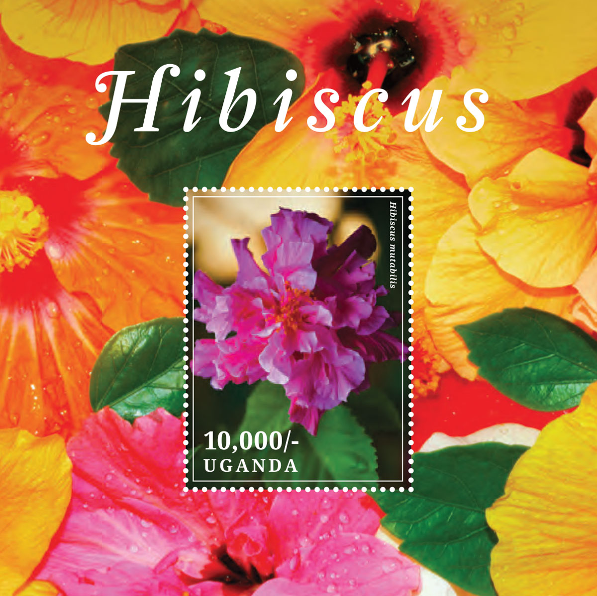 IGPC - The world's largest philatelic network